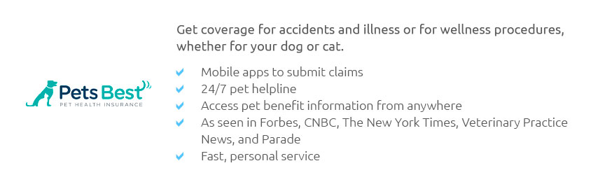 Pet Best Insurance 🐾 Feb 2025